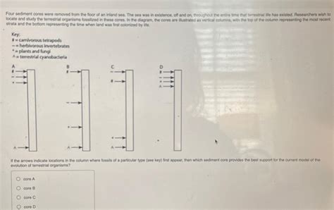 Solved Four Sediment Cores Were Removed From The Floor Of An