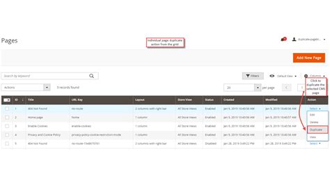 Magento 2 Duplicate Cms Page And Block Extension
