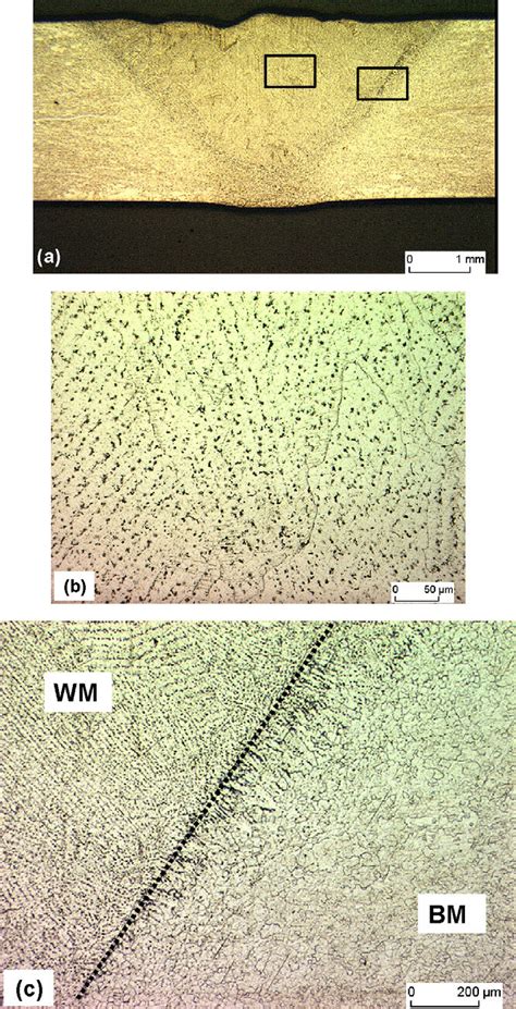 A Macrograph Of The Gta Weld Joint B And C Optical Micrographs Of Download Scientific