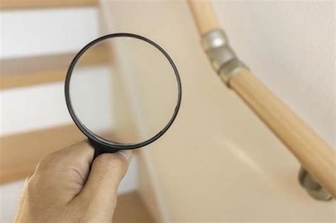 무료 사진 {{제목}}