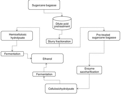 1 Schematic Representation Of The Study Download Scientific Diagram