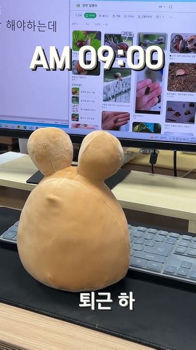 슬픈 눈 달팽이 포우 하루 Youtube