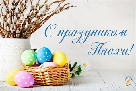 Хаги Ваги (рисунки и фото): 215 картинок