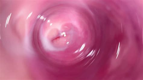 Free Camera Inside Porn Videos Xhamster