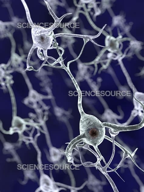 Neural Network Computer Artwork Stock Image Science Source Images