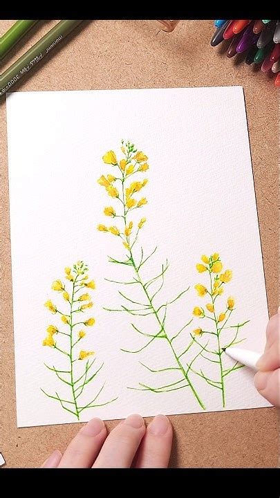 플러스펜 수채화 야생화 그리기 Drawing 그림그리기 Watercolor Youtube