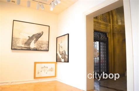 10 Best Things To Know About Henry Art Gallery Citybop