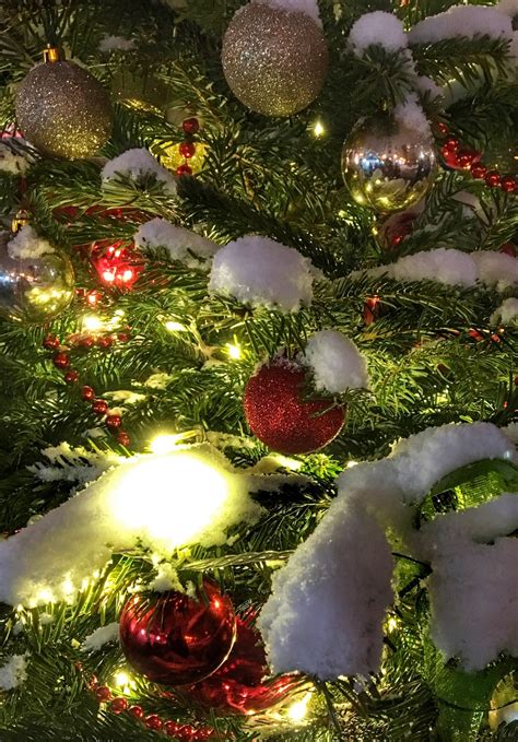 무료 이미지 분기 눈 저녁 휴일 전나무 크리스마스 장식 풍선 선명한 조명 꽃잎 장식 새해 전날 크리스마스 트리 장난감 새해 이브 공 크리스마스
