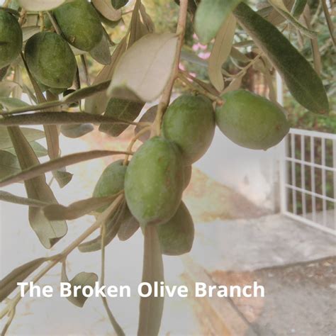 ★ali Riza Saral Broken Olive Branch メロディpdf 香港ポップピアノ協会 無料pdf楽譜ダウンロード Gakufu