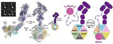Publications Chen Lab