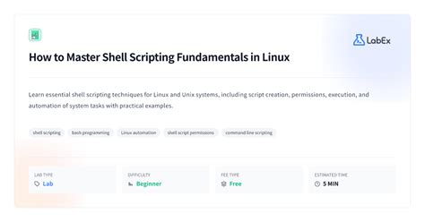 How To Master Shell Scripting Fundamentals In Linux Labex