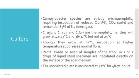 Campylobacter Pptx
