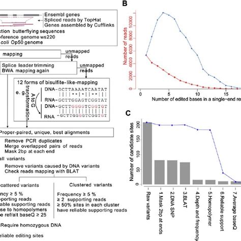 The Computational Pipeline For Identifying Rna Editing Sites In C
