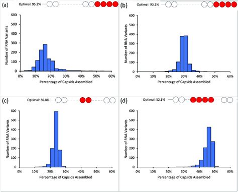 Histogram Representations Of Assembly Fitness Landscapes A Histogram