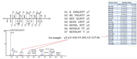 Peptide Sequencing Services Mtoz Biolabs