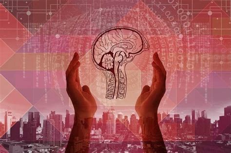 Pioneering Machine Learning Technique On The Hypothalamus Gives Insight Into Nature Of