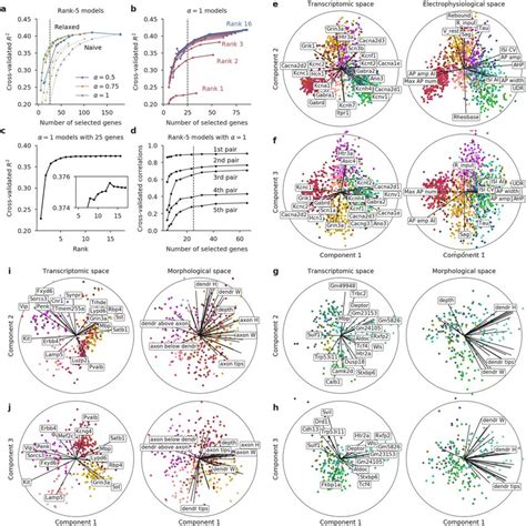 Additional Reduced Rank Regression Analysis And Cross Validation A Download Scientific Diagram