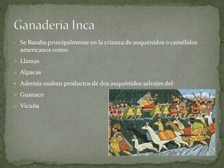 4° Economia Inca Pptx