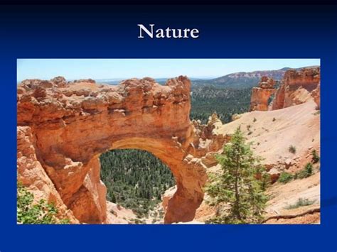 Quadratic Function By Robert And Phillip Ppsx