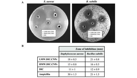 Inhibition Zones Of Diclofenac Loaded Chitosan Nanoparticles Download Scientific Diagram