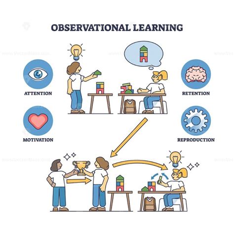 Observational Learning As Behavior Impact From Observation Outline Diagram Vectormine