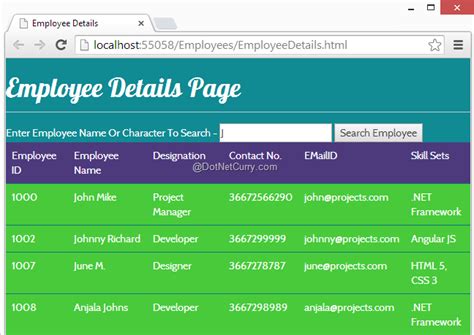 Working With Angularjs Views And Directives Project Tracking Website