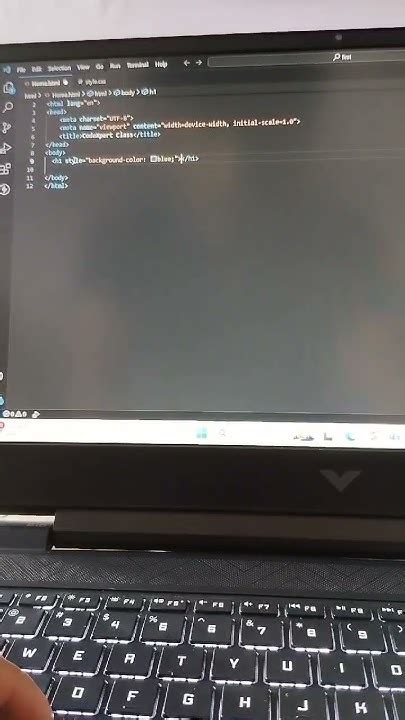 Background Colour Set In Html Codexpertclass Htmltutorial Youtube