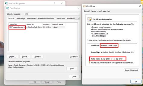 How To Check Digital Signature Certificate Validity And Expiry Date Digital Signature