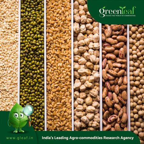 MSP Purchases Of Pulses To Get A Leg Up GreenLeaf