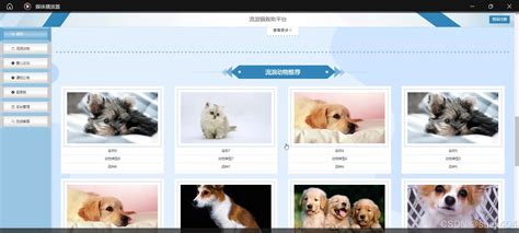 基于ssmvue流浪猫救助平台【开题程序论文】 计算机毕业设计 Csdn博客
