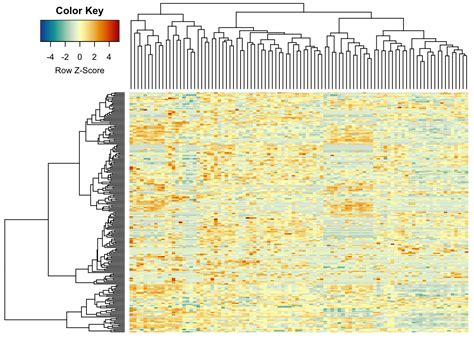 Chapter 9 Heatmaps Et Al Base R Visualization In R Workshop