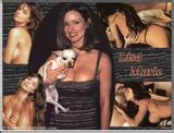 Lisa Marie Smith Vintage Erotica Forums