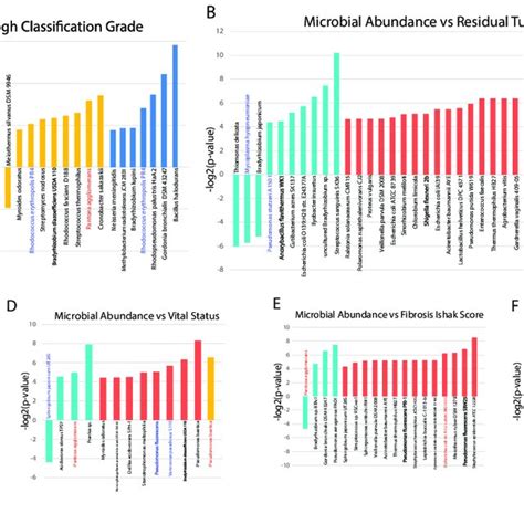 Correlation Of Microbial Abundance To Clinical Variables Microbial
