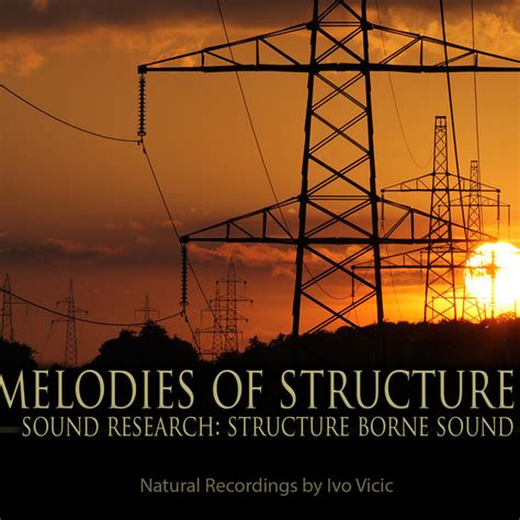 Sound Research Melodies Of The Structures Structure Borne Sound Generated By Nature Ivo Vicic