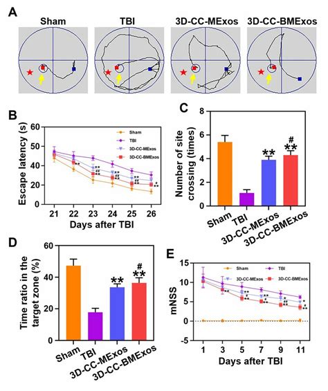 the recovery of cognitive function and sensorimotor function among the