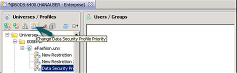 Sap Idt 安全 Gingerdoc 姜知笔记