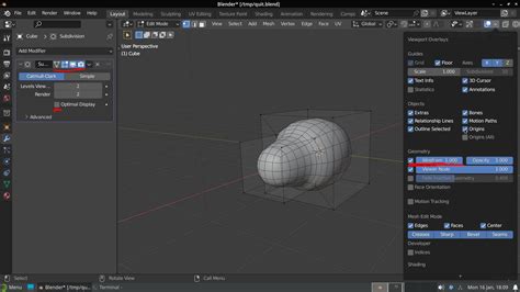 Show Wireframe Subsurface Result In Edit Mode Basics And Interface