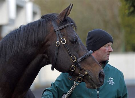 Rafhas Influence Prevails Through Her Dominant Sons