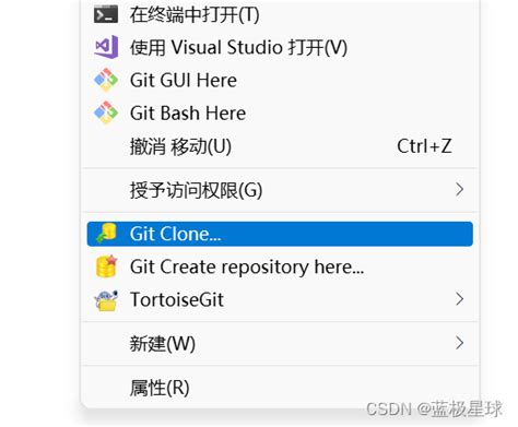 Gitee的使用与常见问题【让你在面试官前脱颖而出，让你每次的代码都有迹可寻】gitee怎么提问 Csdn博客