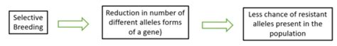 Selective Breeding Genes Inheritance And Cloning Flashcards Quizlet