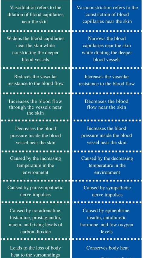 What Is Vasodilation And Vasoconstriction