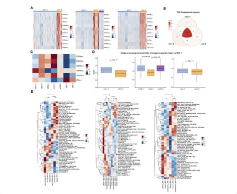 Three Anergic Dc Subtypes Shared Similar Upregulated Tfs And Enriched