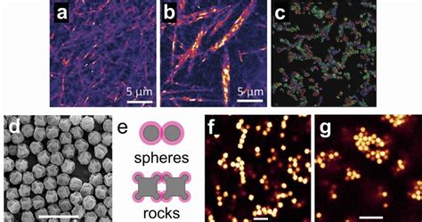Depletion Induced Gelation In Anisotropic Colloids A B Bundling In Download Scientific