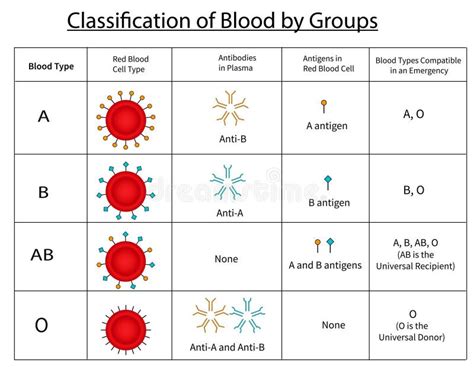 Abo Blood Group Types Classification Chart With Antigens Antibodies