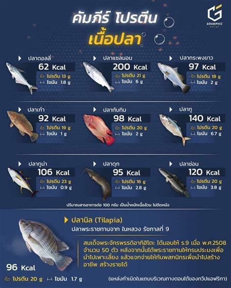 มากินปลากันเถอะๆๆๆ เขย5ปลาทะเล K5 Seafood