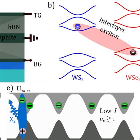 A Schematic Of The Ws2 Wse2 Dual Gate Device The Tmd Heterobilayer Download Scientific