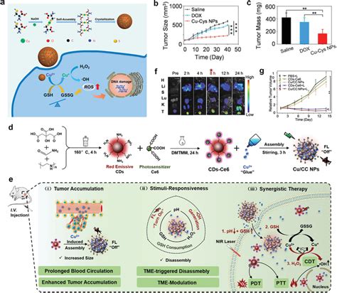 A Curcumin Nanoagents Based On Zn 2 Coordination Driven Download Scientific Diagram