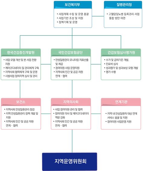 지역사회 만성질환 관리사업 한국건강증진개발원