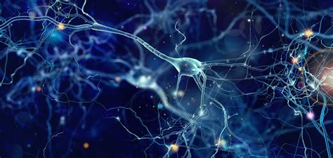 Pet Tracer Candidate For Imaging Mutant Huntingtin Aggregates