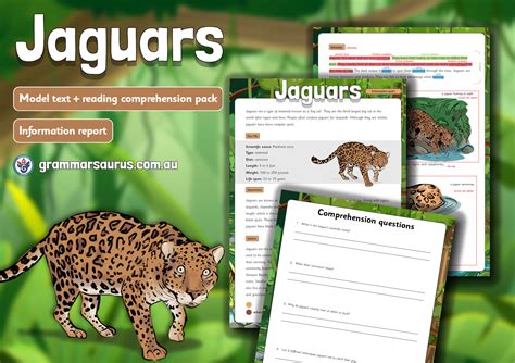 Year 3 Model Text Report Jaguars Grammarsaurus Australia